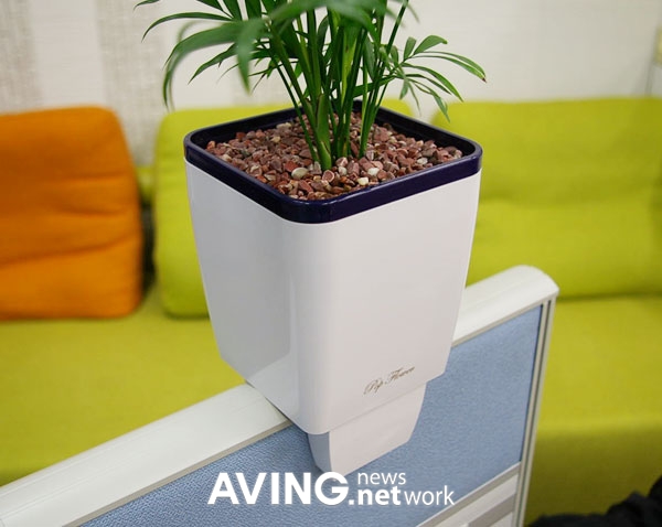 파티션에 설치하는 이색화분 '팝플라워'