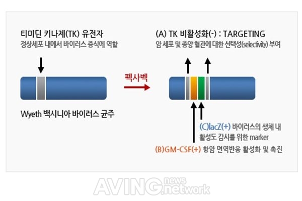 [바이오코리아 2018] 신라젠, 대표적인 신약후보물질 펙사벡(Pexa-Vec) 소개해