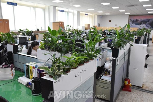 창&작은세상, 공기정화식물 일체형 사무실화분 수영구 시범 설치