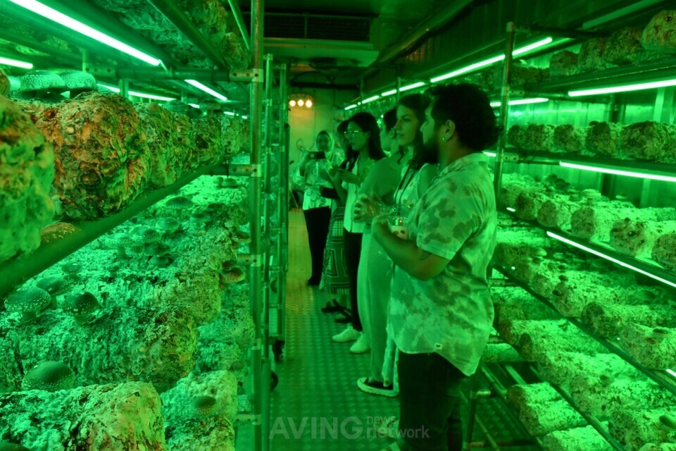 딜라잇비, 부산형 신규관광코스 ‘딜라잇부산’ 리빙랩서 긍정적 성과 올려... “요트와 스마트팜 한번에 체험!”