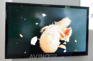 [WIS 2011] 3D엔터테인먼트, 3D 입체영상 '호랑나비의 일생' 출품